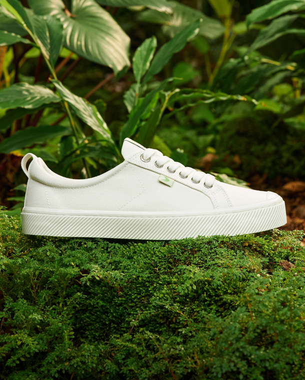 Ethical and Stylish - Cariuma Ireland Store